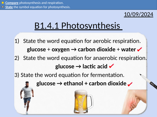 GCSE OCR Biology: B1.4 Photosynthesis | Teaching Resources