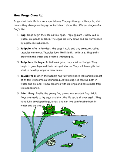 How Frogs Grow Up Science Reading | Teaching Resources