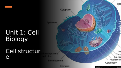 National 5 Biology- Cell Biology- 1.1 Cell structure | Teaching Resources