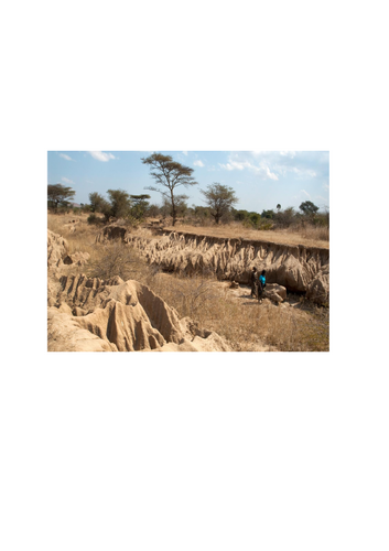 Back to School Africa Project year 5 Geography History Art Fun ...