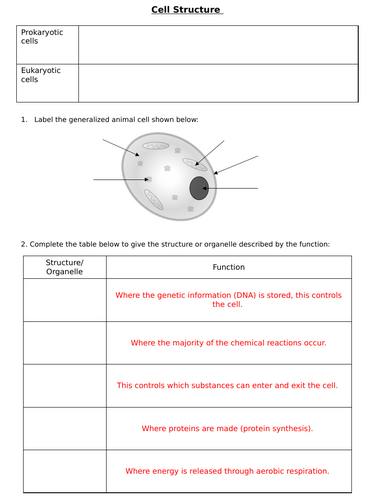 GCSE Animal, Plant and Bacterial cell structure worksheet | Teaching ...