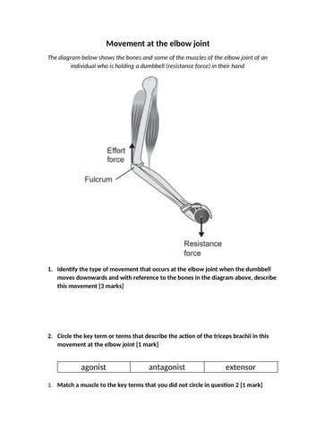 Skeletal, smooth & cardiac muscle (OCR A-level biology) | Teaching ...