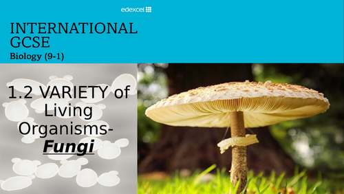 BUNDLE - complete Edexcel Biology IGCSE Topic 1 NATURE AND VARIETY OF ...