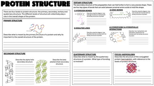A Level Biology - Proteins Worksheet | Teaching Resources