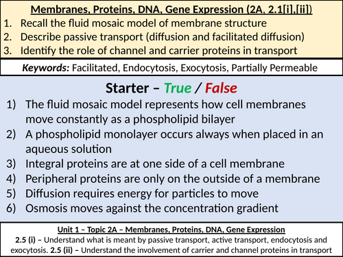 Edexcel iA Level Membranes & Proteins | Teaching Resources
