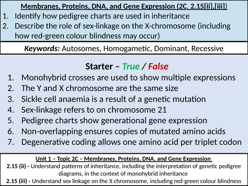 Edexcel iA Level DNA & Gene Expression | Teaching Resources