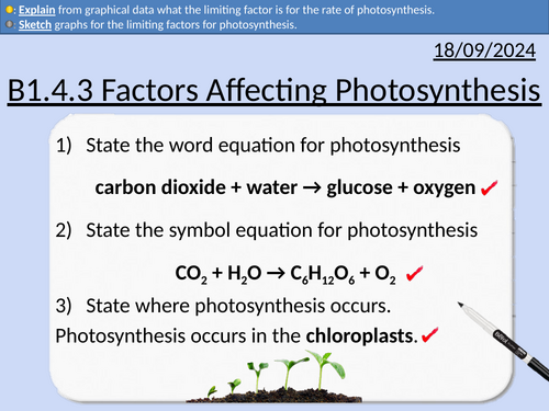 GCSE OCR Biology: B1.4 Photosynthesis | Teaching Resources