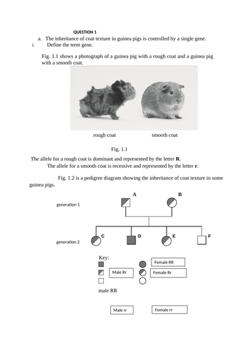 Cambridge IGCSE Biology worksheet on genetics for IGCSE biology ...