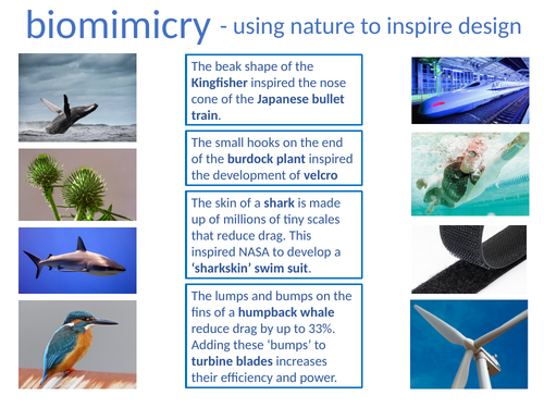 Biomimicry 1 Lesson Design Task | Teaching Resources
