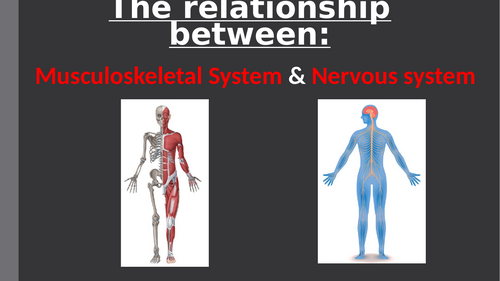 BTEC Level 2 Health an Social Care - Unit 10: Human Body Systems - FULL ...