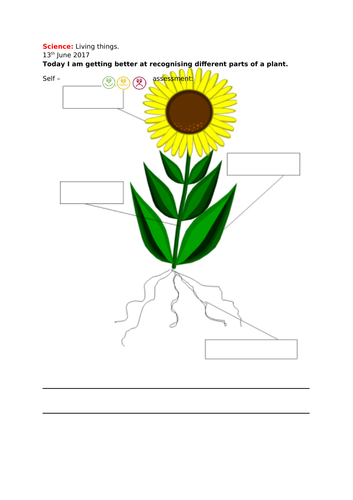 Jack & the Beanstalk Literacy & Science planning and resources ...