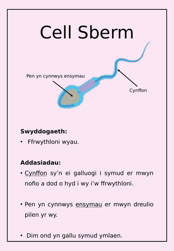 TGAU Bioleg 1.1 Celloedd a symudiad ar daws cellbilenni | Teaching ...