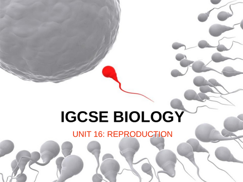 Unit 16 : Reproduction (IGCSE Biology) | Teaching Resources