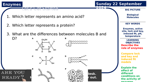 AQA A Level Biology - Enzymes Lesson | Teaching Resources