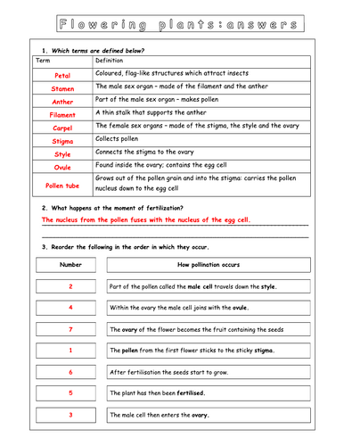Year 8 - Reproduction - L2 Plants | Teaching Resources