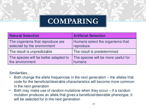 Unit 18 : Variation and Selection (IGCSE Biology) | Teaching Resources Unit 18 : Variation and Selection (IGCSE Biology) | Teaching Resources