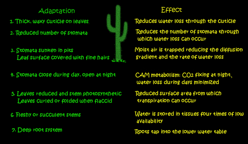 Unit 18 : Variation and Selection (IGCSE Biology) | Teaching Resources Unit 18 : Variation and Selection (IGCSE Biology) | Teaching Resources