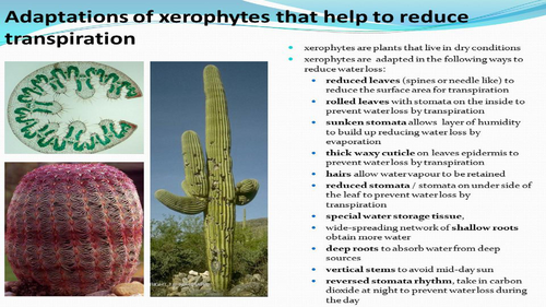 Unit 18 : Variation and Selection (IGCSE Biology) | Teaching Resources Unit 18 : Variation and Selection (IGCSE Biology) | Teaching Resources