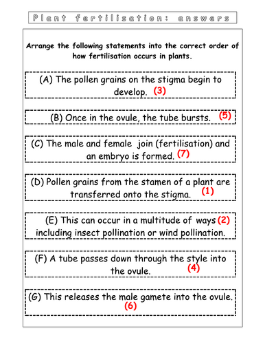 Year 8 - Reproduction - L3 Fertilisation in plants | Teaching Resources