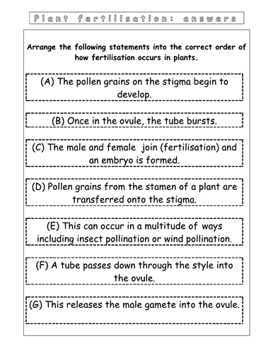 Year 8 - Reproduction - L3 Fertilisation in plants (Worksheet ...