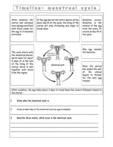 Year 8 - Reproduction - L7 Menstruation Worksheet | Teaching Resources
