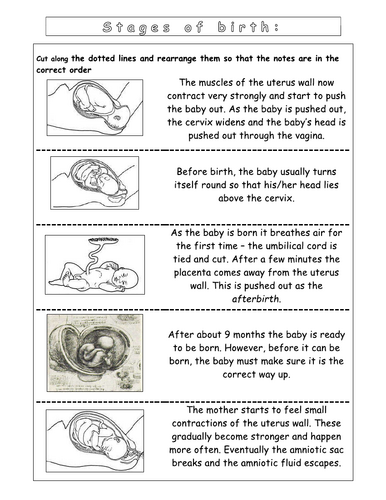 Year 8 - Reproduction - L10 Birth worksheets | Teaching Resources