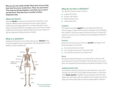 Spooky Science - Structure and Functions of the Skeleton | Teaching ...