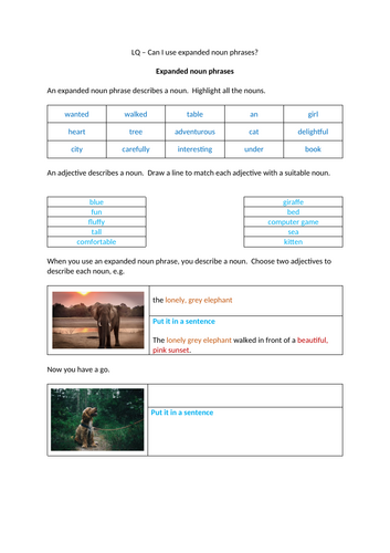 Expanded Noun Phrases - write a sentence to describe the picture ...