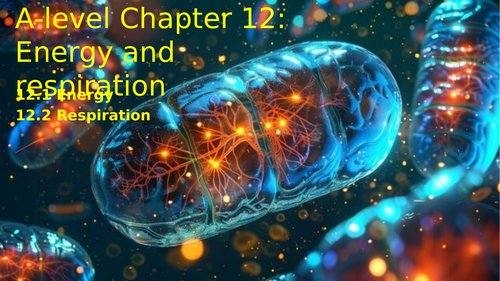 A-level Biology: Energy and respiration | Teaching Resources