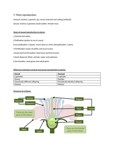Section 7 notes: reproduction (plant and human) and inheritance. IGCSE ...
