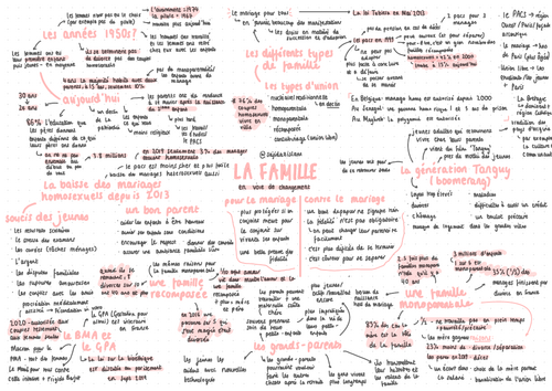aqa a-level french mindmap - topic 1: la famille en voie de changement ...