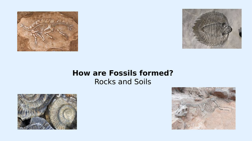 How are fossils formed PowerPoint year 3 science | Teaching Resources