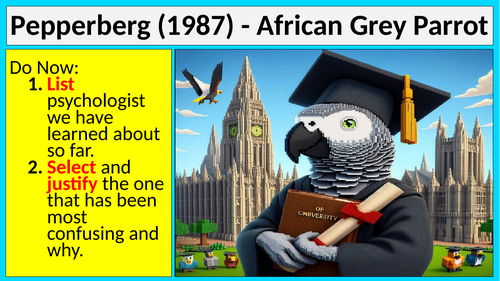 Pepperberg 1987 CIE Psychology | Teaching Resources