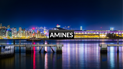 Ultimate Guide to Organic Chemistry - Amines | Teaching Resources