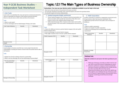 Edexcel IGCSE Business - 1.2.1 Types of organizations Worksheet Task ...