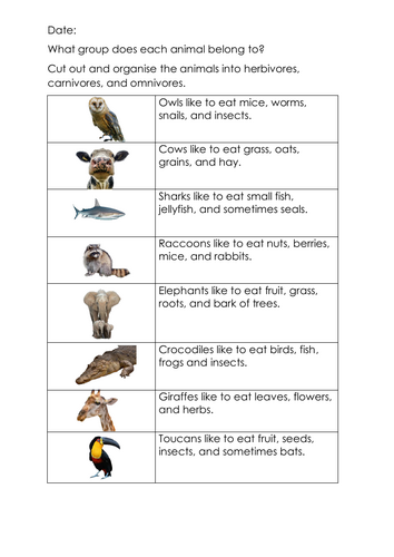 Year 1 Science - Herbivores, Carnivores, Omnivores | Teaching Resources