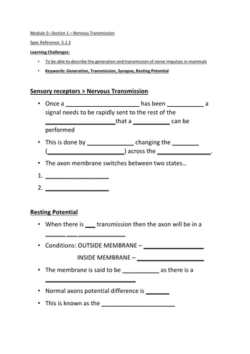OCR A Level Biology - Muscles and Nervous System | Teaching Resources