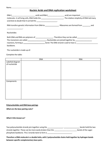 OCR A level Biology - DNA and Protein Synthesis | Teaching Resources