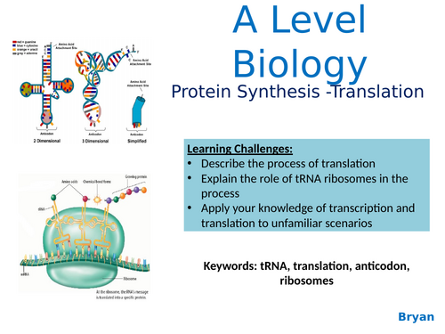 OCR A level Biology - DNA and Protein Synthesis | Teaching Resources