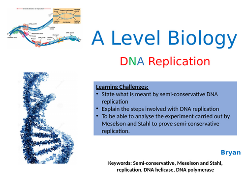 OCR A level Biology - DNA and Protein Synthesis | Teaching Resources