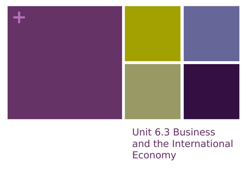 CIE IGCSE Business Studies Unit 6 Resources | Teaching Resources