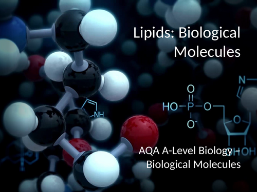 3.1.3 L5 Lipids (AQA A-Level Biology) | Teaching Resources