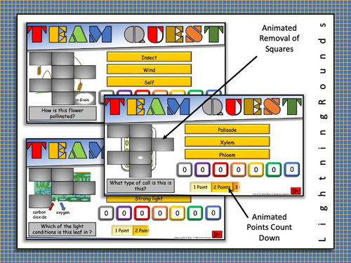 Plant Anatomy Photosynthesis Life Cycle Team Quest Quiz KS3 | Teaching ...