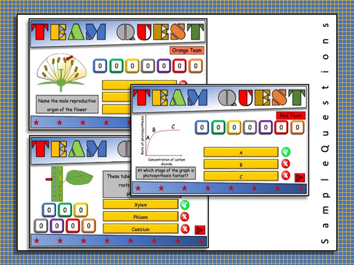 Plant Anatomy Photosynthesis Life Cycle Team Quest Quiz KS3 | Teaching ...