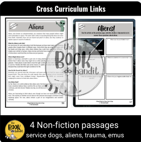 SIMON SORT OF SAYS NOVEL STUDY based on the book by Erin Bow | Teaching ...