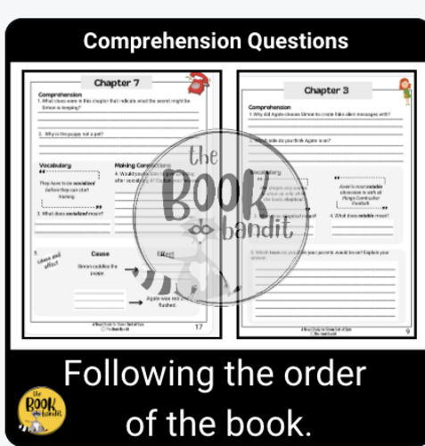 SIMON SORT OF SAYS NOVEL STUDY based on the book by Erin Bow | Teaching ...