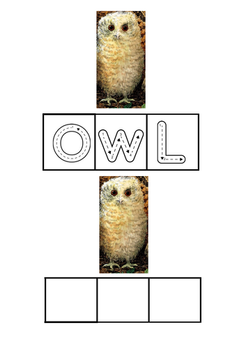 **EDITABLE** Owl babies word and sentence writing | Teaching Resources