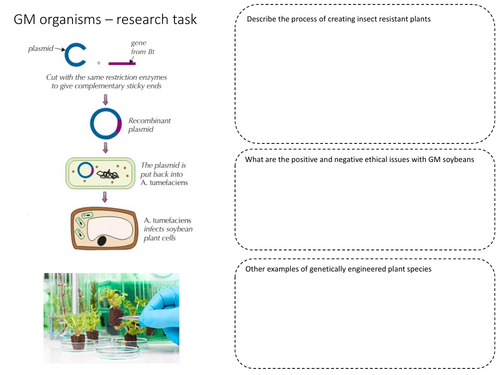OCR A Level Biology - Genetics and DNA Technology | Teaching Resources