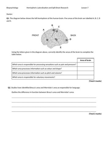Hemispheric Lateralisation and Split Brain Research Biopsychology AQA A ...