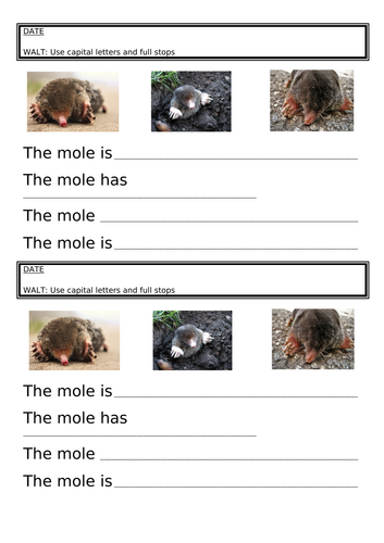 Year 1 English Unit: Mrs Mole I'm Home! | Teaching Resources